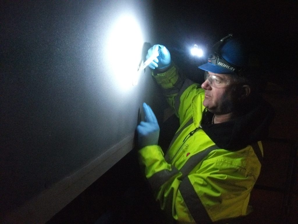 Paint Inspection: Coating Inspection and Surveying